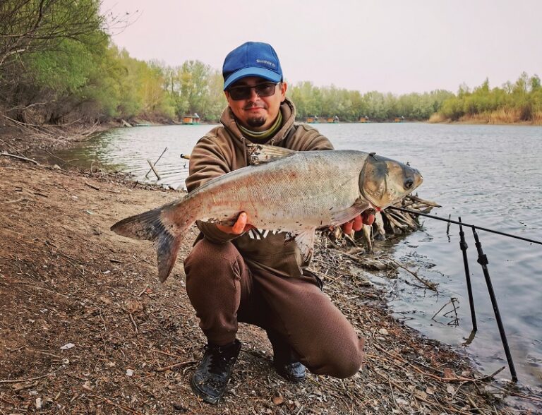 Pescuitul la novac pe înțelesul tuturor - Claumar Pescar - Blog pescuit