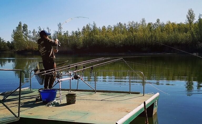 Pescuitul la novac pe înțelesul tuturor - Claumar Pescar - Blog pescuit