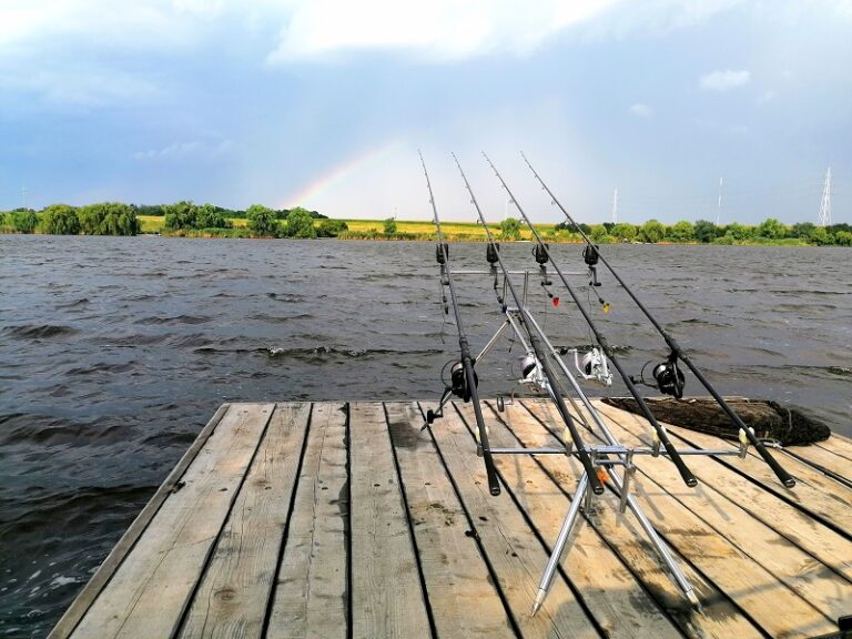 Pescuitul la Amur : Nade, Momeli, Monturi și Tactici - Claumar Pescar ...